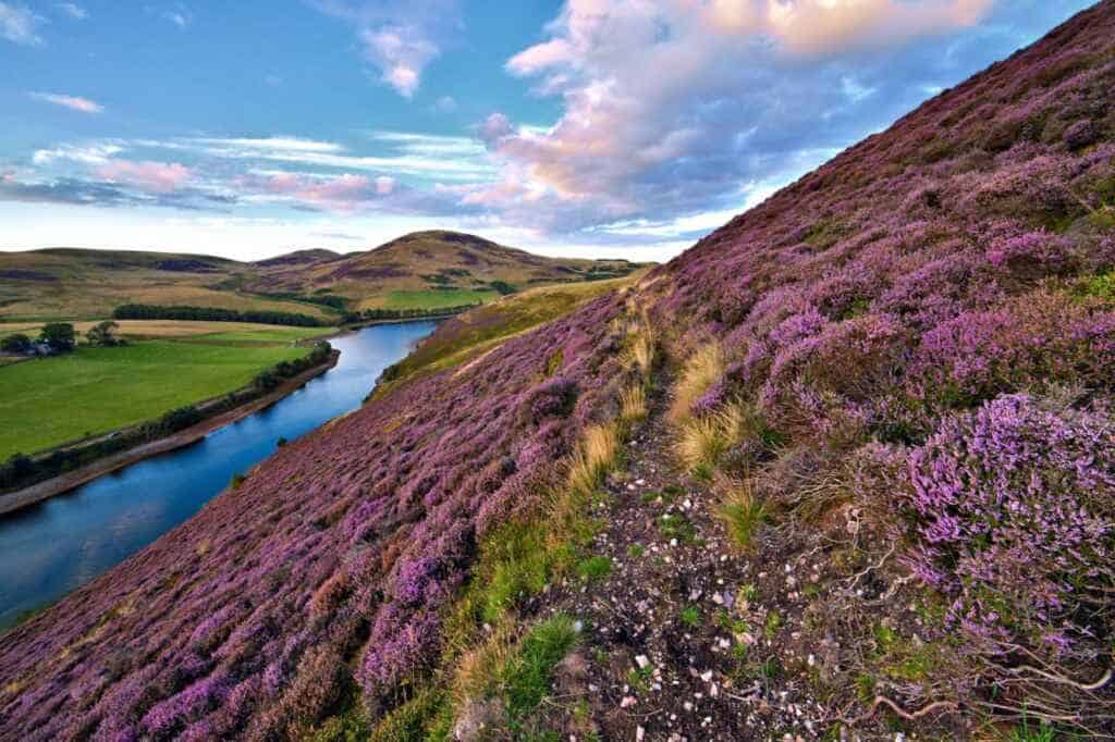 Scotland in Summer: The 20 Best Things to Do 2026 - Tartan and Teacups