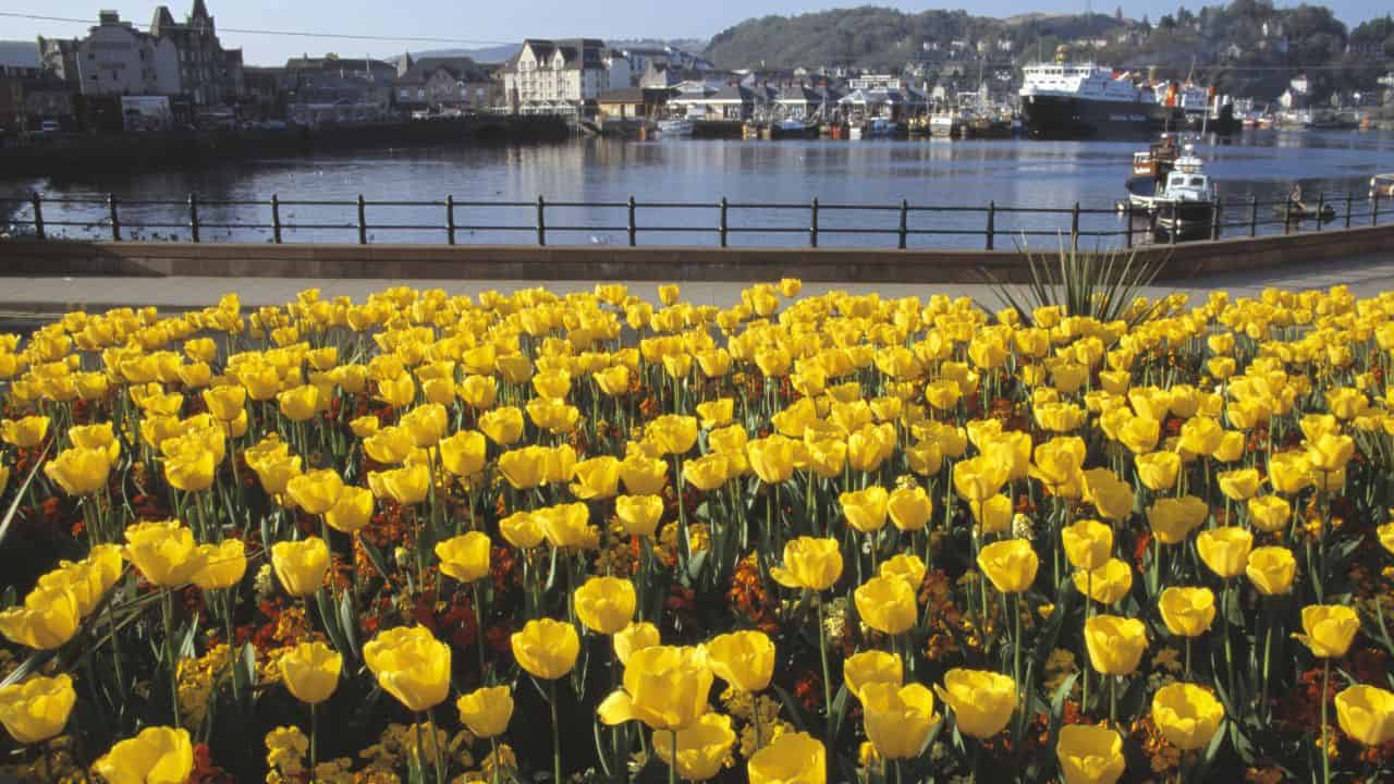 Scotland’s Prettiest Seaside Town? These 5 Spots in Oban Make the Case ...